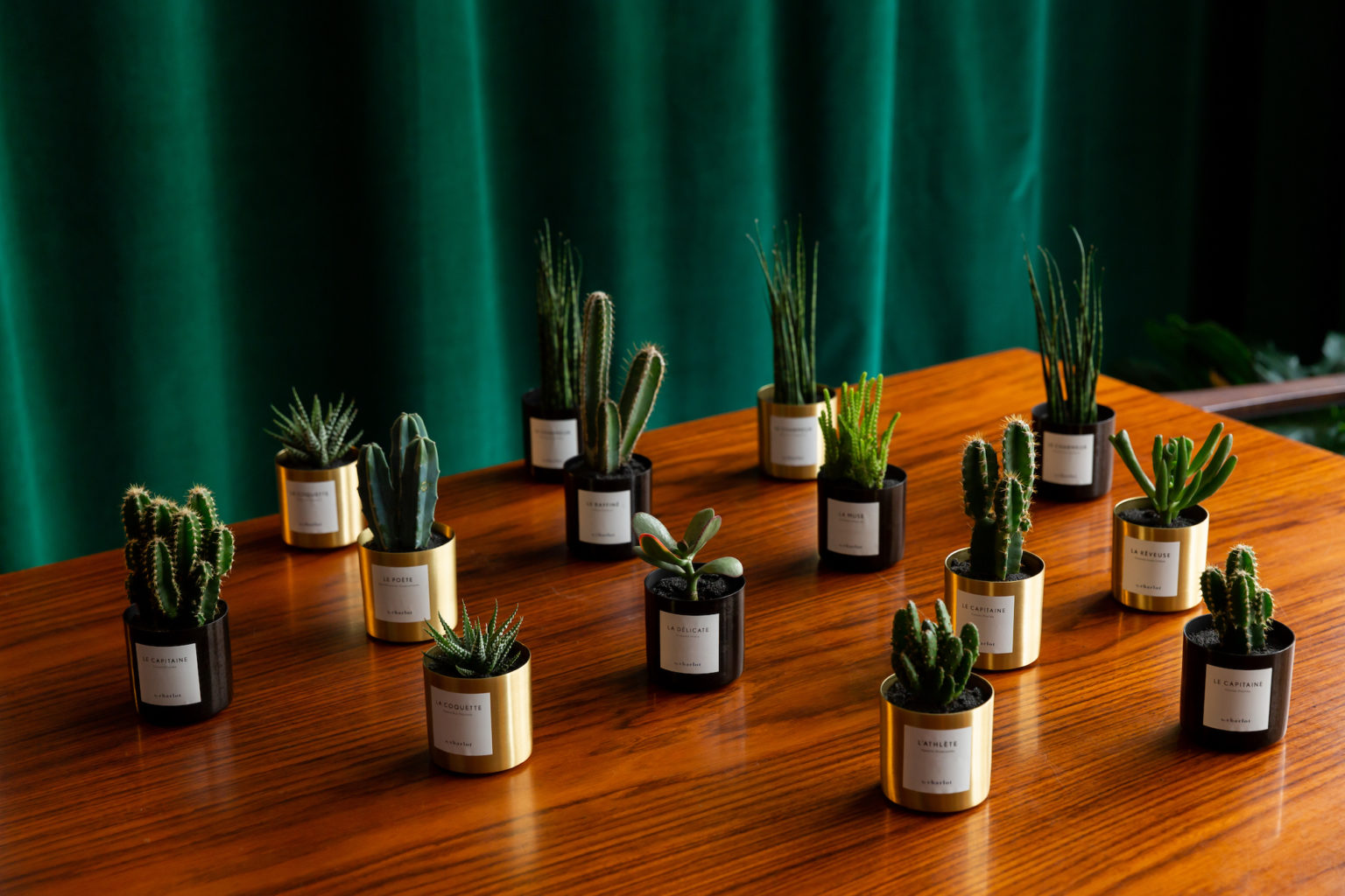 By Charlot – Falcktory